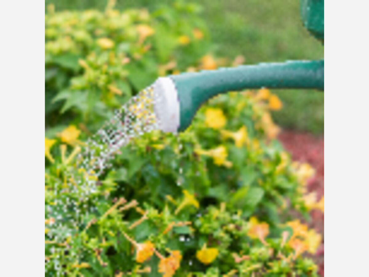 Water Bans Returning June 6 | Franklin Observer