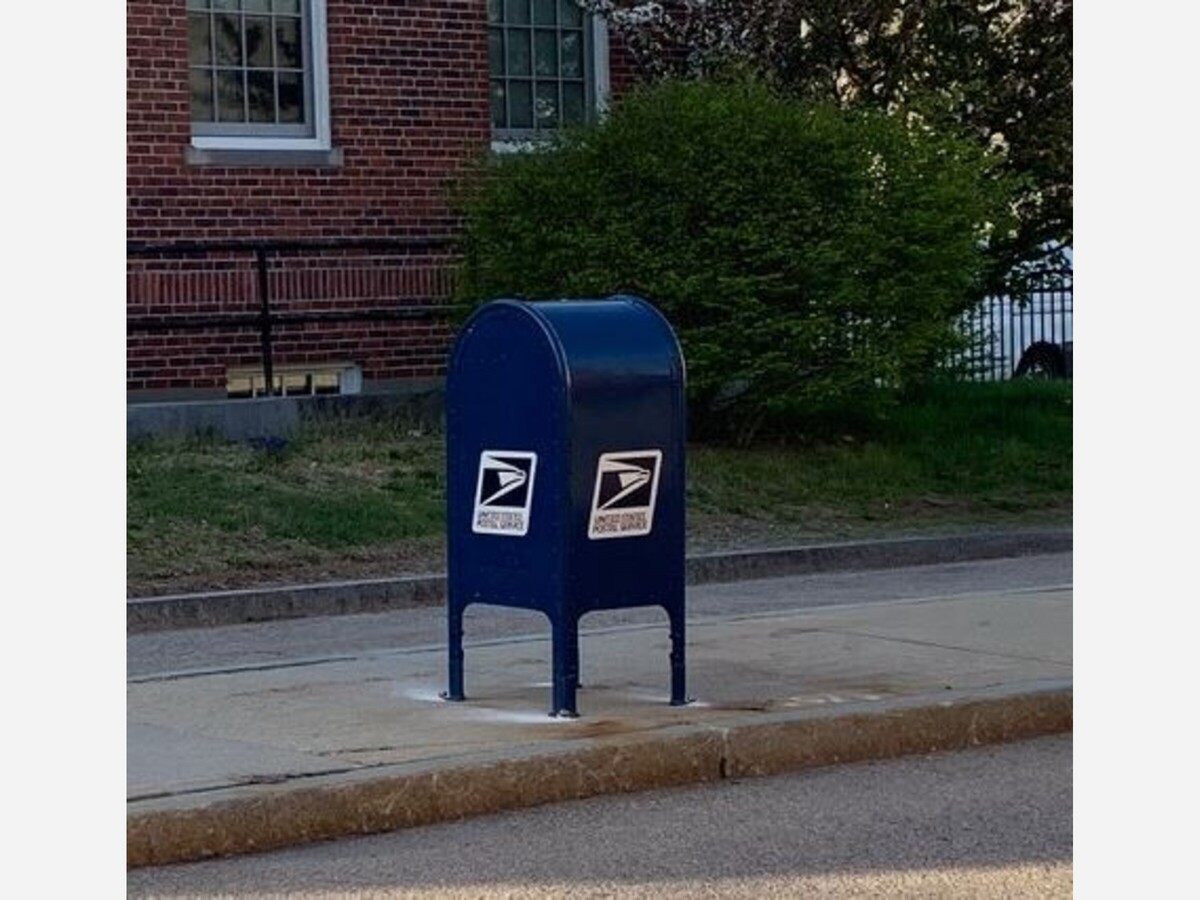 Back from the Dead | Franklin Observer