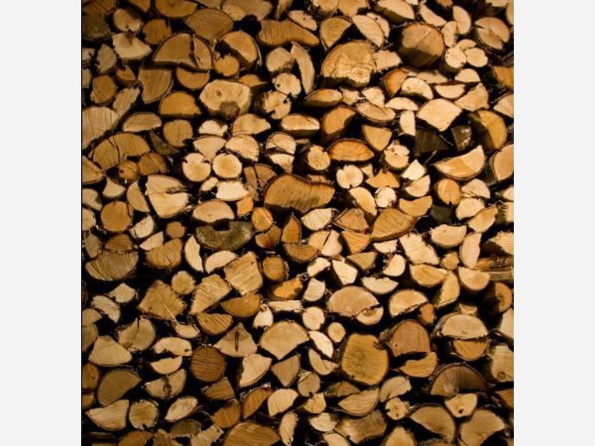 MA Forest Alliance Concerned Legislation Could Limit Wood for Home ...