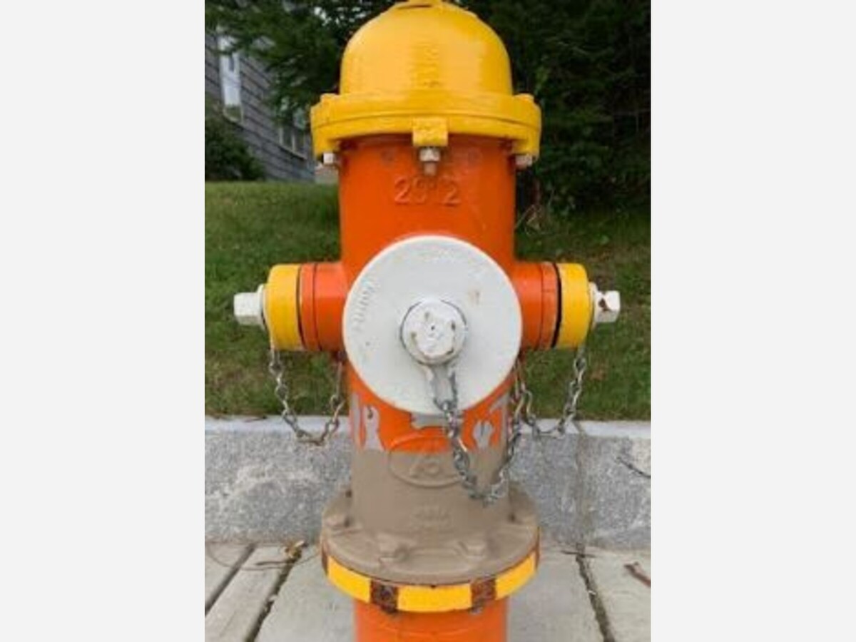 Hydrant Painting “Contest” is Back | Franklin Observer